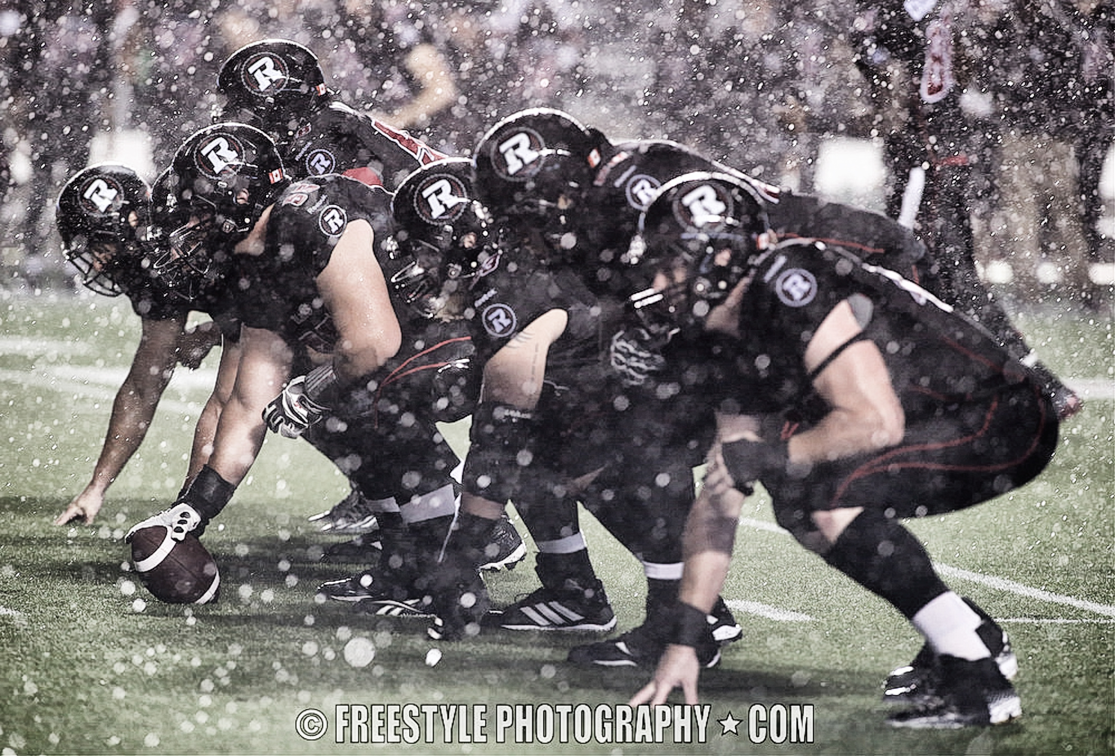 PORTFOLIO | Freestyle Photography